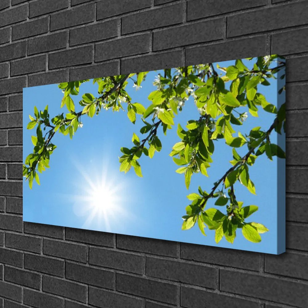 Obraz na plátně Slunce Příroda 120x60 cm