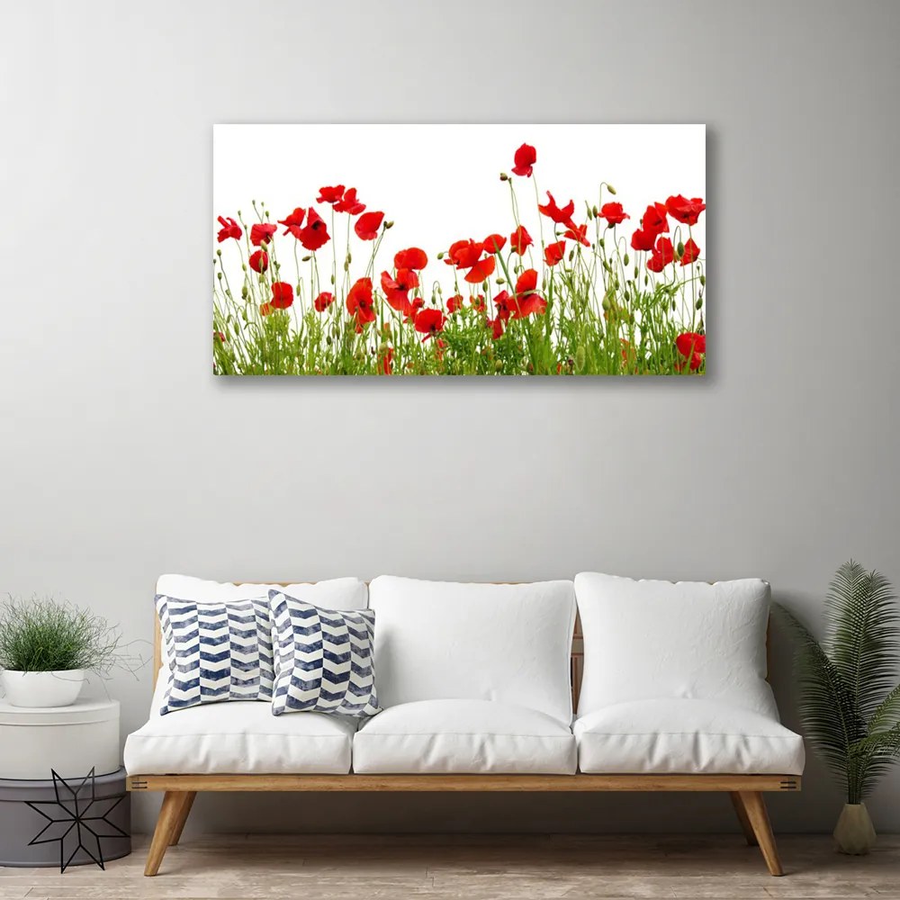 Obraz na plátně Louka Máky Květiny Příroda 125x50 cm