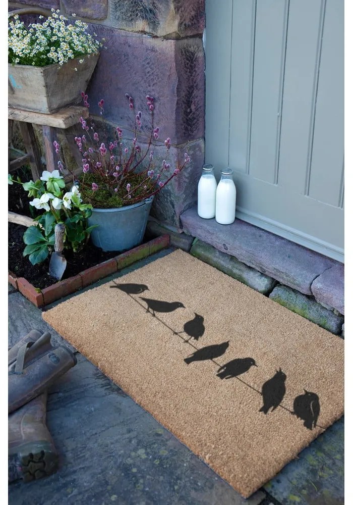 Rohožka z kokosového vlákna 40x60 cm Birds On a Wire – Artsy Doormats