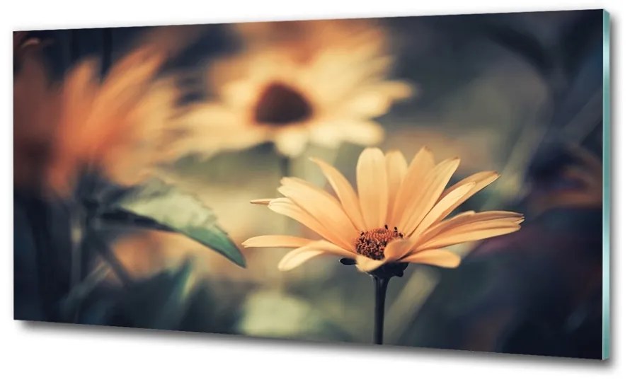 Wallmuralia Foto-obraz fotografie na skle Jarní květ 100x50