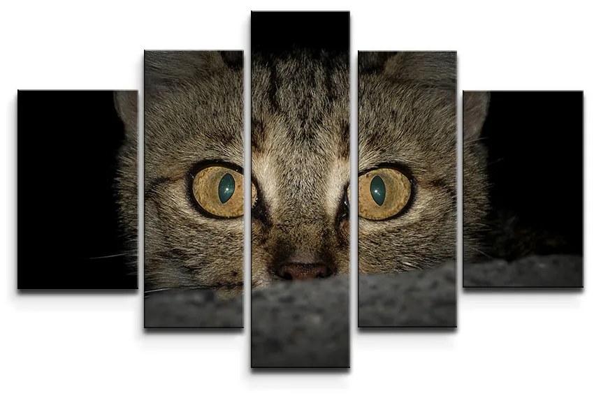 Sablio Obraz - 5-dílný Kočka - 125x90 cm