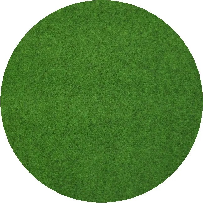 MK Original: Produkty s rodokmenem, Vánoční kruhový koberec pod stromeček Sporting – na ven i na doma, 100x100 (průměr) kruh, zelená, chodba / předsíň