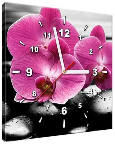 Tištěný obraz s hodinami Krásná orchidej mezi kameny 30x30cm ZP1380A_1AI