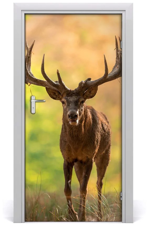 Fototapeta samolepící na dveře jelen v lese 85x205 cm