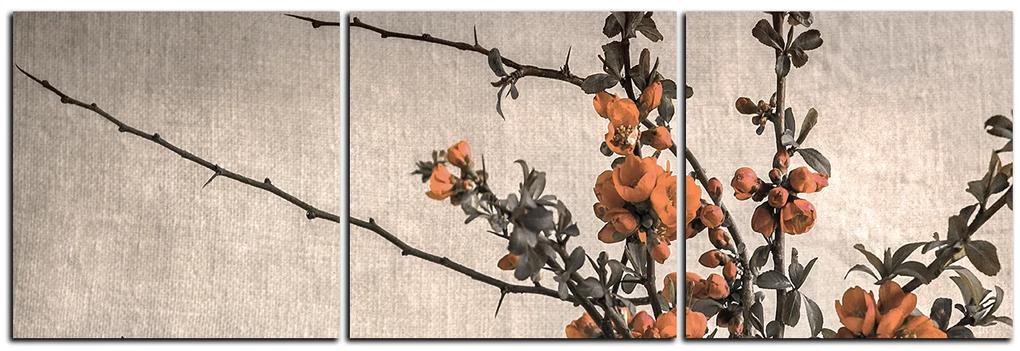 Obraz na plátně - Zátiší kytice - panoráma 5996QB (150x50 cm)