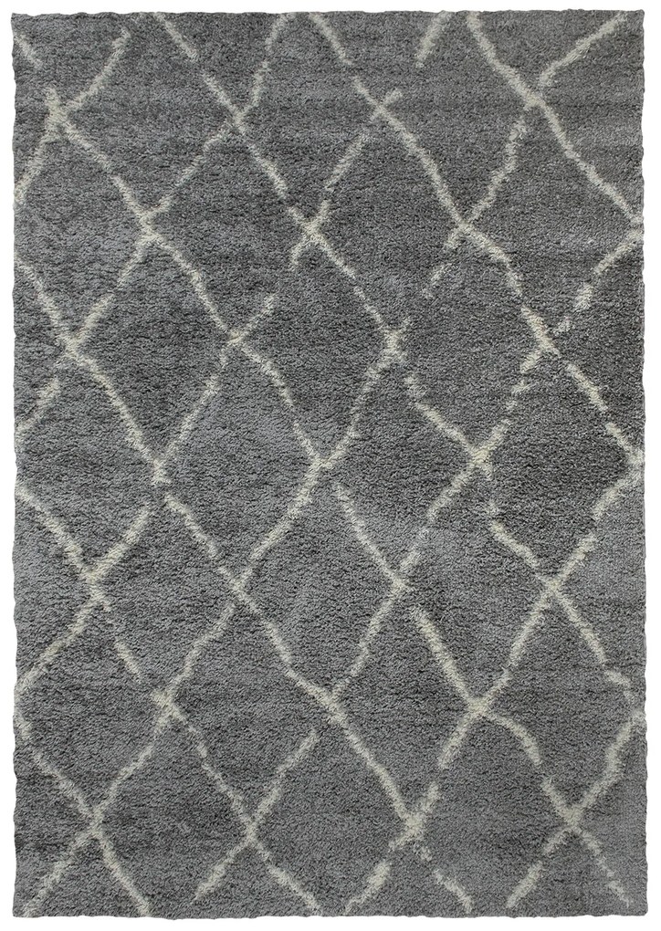 CONCEPTUM HYPNOSE Šedý koberec PILE 160x230 cm 864RBY2629