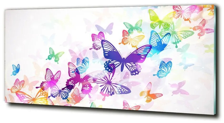 Wallmuralia Foto obraz sklo tvrzené Barevní motýli 125x50 cm