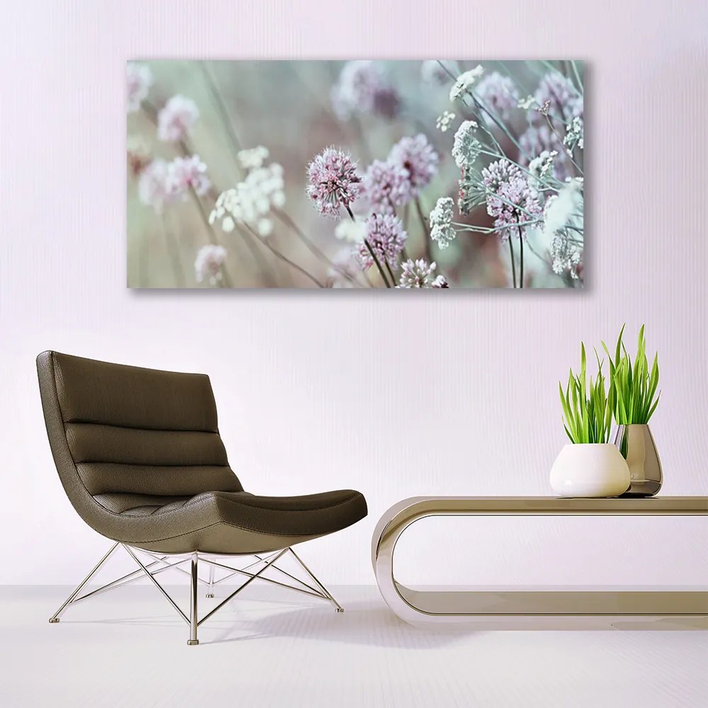 Plexisklo-obraz Polní Květiny Louka Příroda 120x60 cm