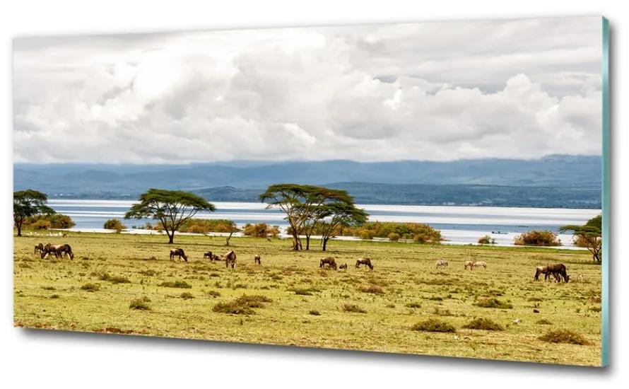 Wallmuralia Foto obraz fotografie na skle Jezero Naivasha 100x50