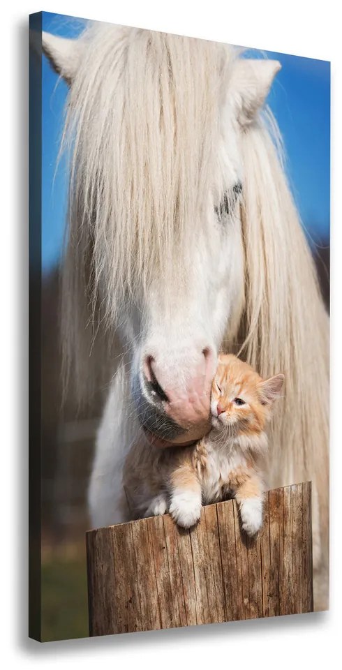 Wallmuralia Foto obraz na plátně Bílý kůň s kočkou 70x140 cm