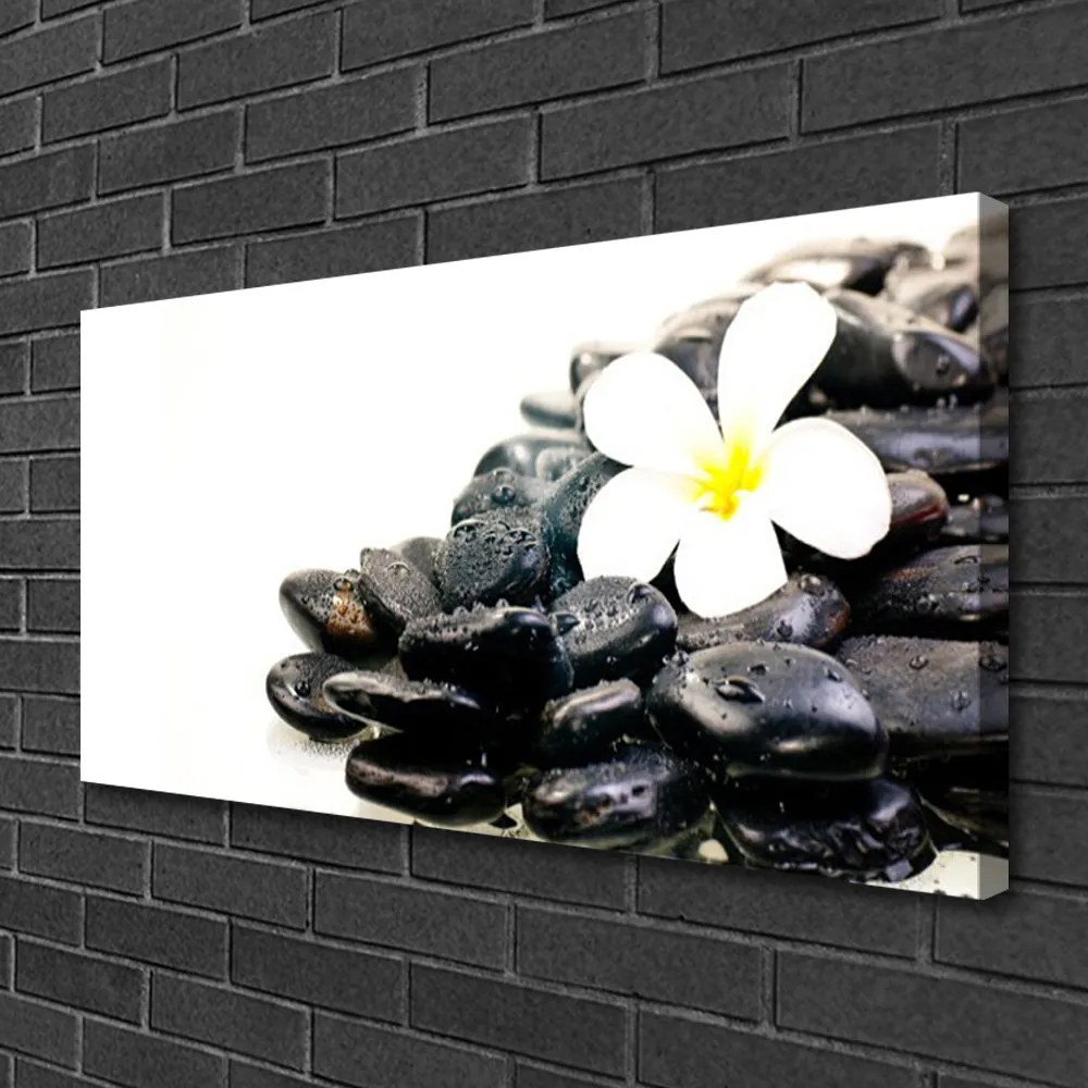 Obraz na plátně Květiny Kameny Umění 100x50 cm