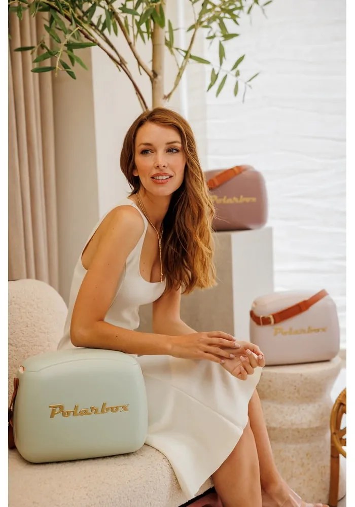Hnědý chladicí box 6 l Classic Gold – Polarbox