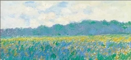 Obraz, Reprodukce - Pole žlutých kosatců v Giverny, Claude Monet, (100 x 50 cm)