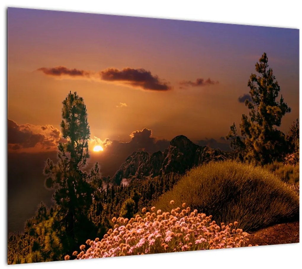 Skleněný obraz přírody se západem slunce (70x50 cm)
