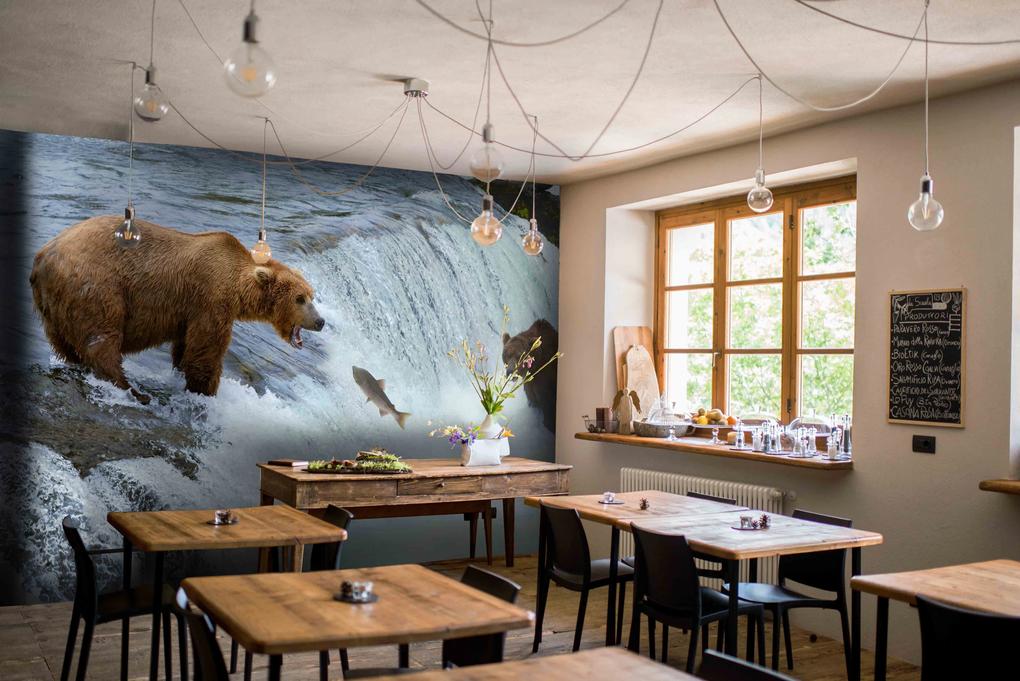 Malvis Tapeta Medvědi na lovu Vel. (šířka x výška): 144 x 105 cm
