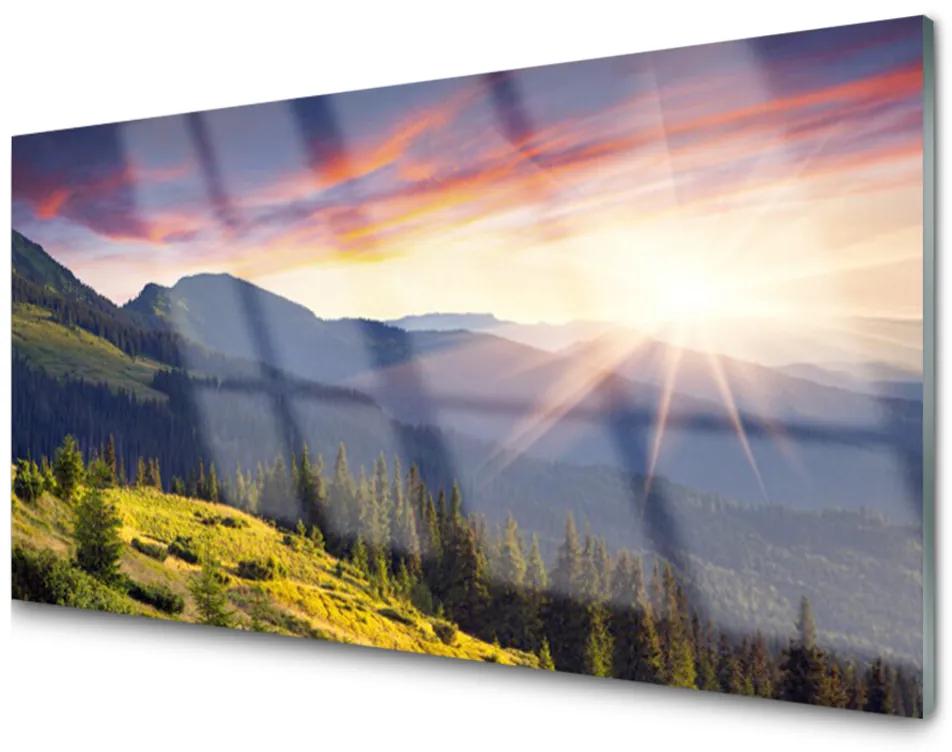 Plexisklo obraz Hora Les Slunce Krajina
