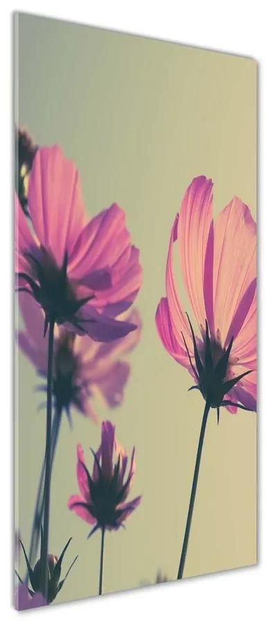 Wallmuralia Moderní akrylový fotoobraz Růžové květiny 50x125 cm