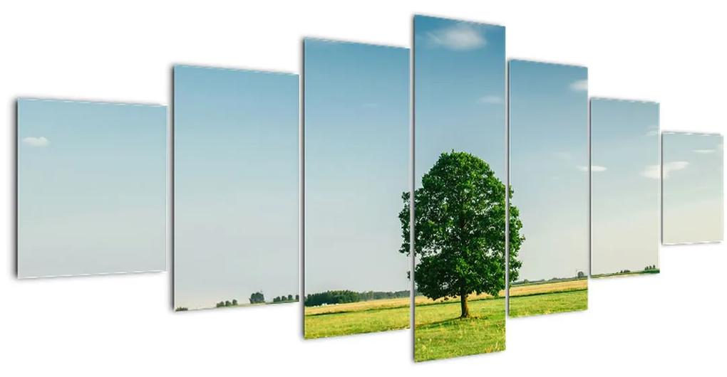 Obraz stromu na louce (210x100 cm)