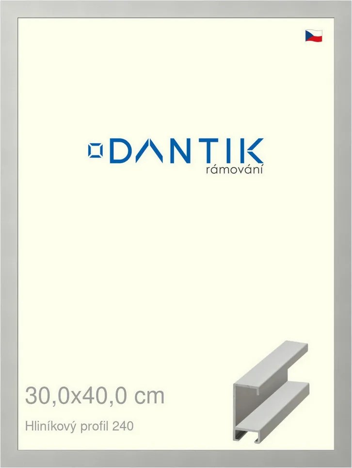 DANTIK rámeček 30x40 | ALU profil 6240 Stříbrná matná (Plexi Čiré)