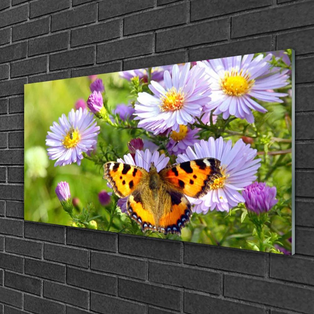 Obraz na skle Květiny Motýl Příroda 100x50 cm