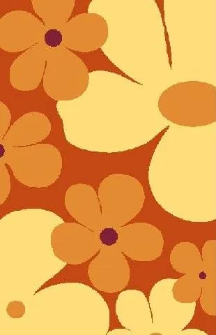 Vopi | Koberec Hansadim 8004-T - 160 x 230 cm, oranžový