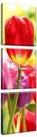 Obraz s hodinami Žlutý tulipán 30x90cm ZP1255A_3V