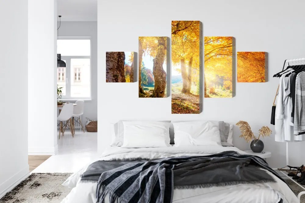 Vícedílný obraz Slunečný Podzimní Les Nedostatek Nedostatek Přírodní plátno 150x90