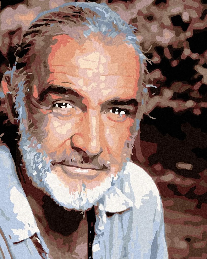 zuty malování podle čísel - sean connery, 40x50 cm, vypnuté plátno na rám