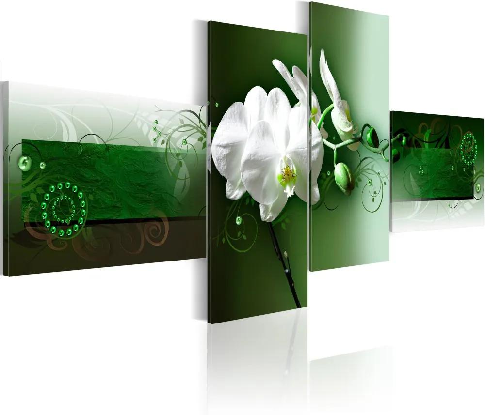 Obraz na plátně Bimago - Orchidea na zeleném pozadí 100x45 cm