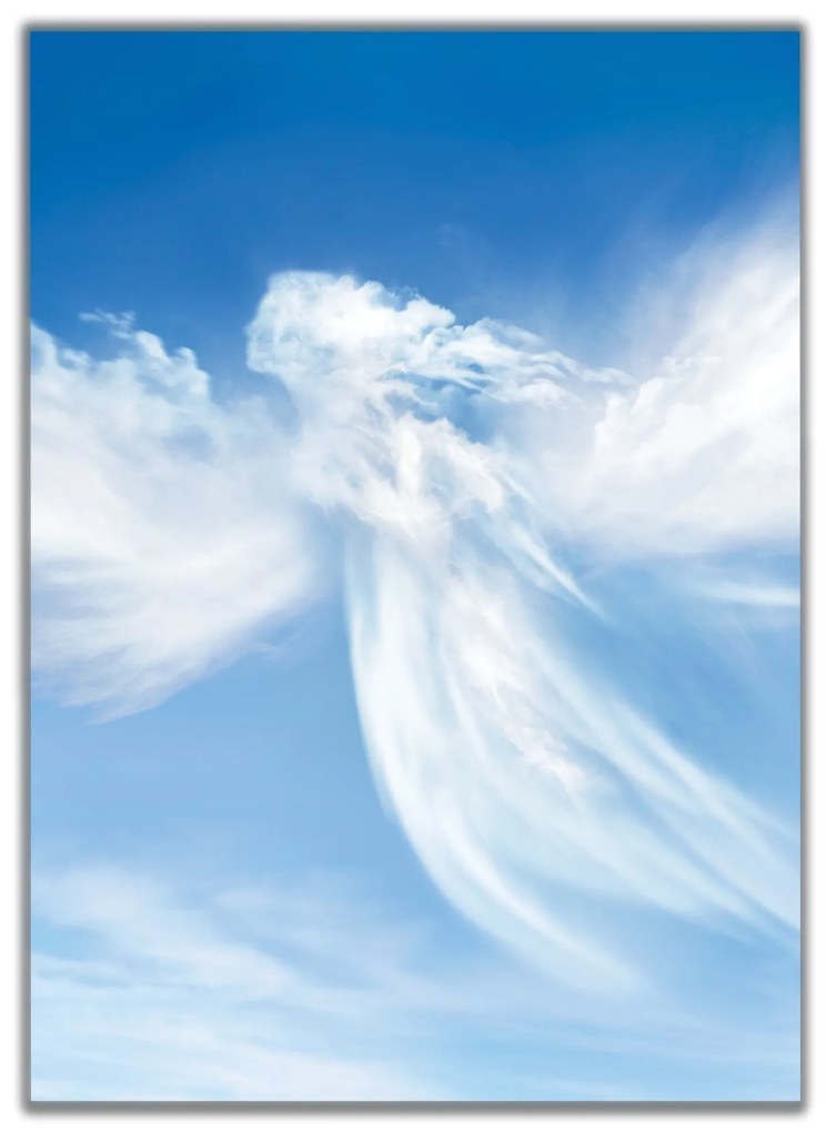 Malvis ® Obraz Andělské zjevení Velikost (šířka x výška): na výšku - 100x150 cm