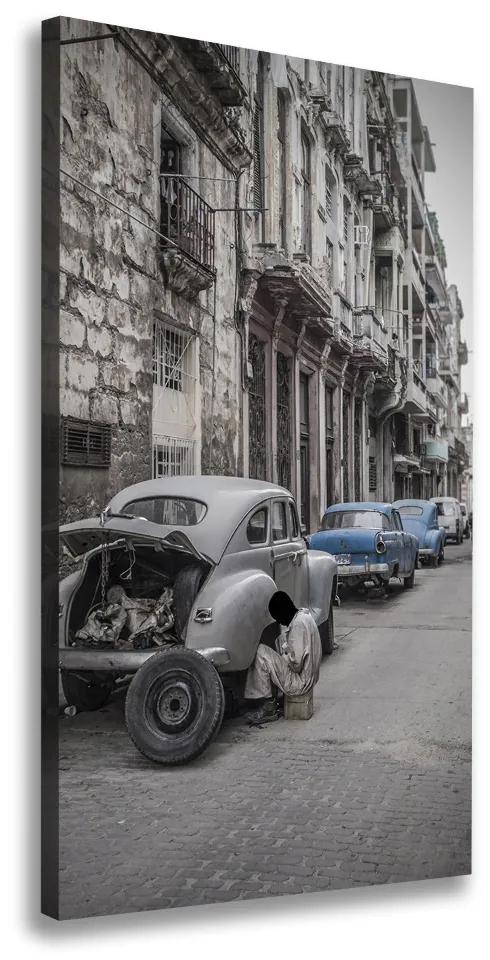 Wallmuralia Vertikální Moderní fotoobraz canvas na rámu Havana 50x100