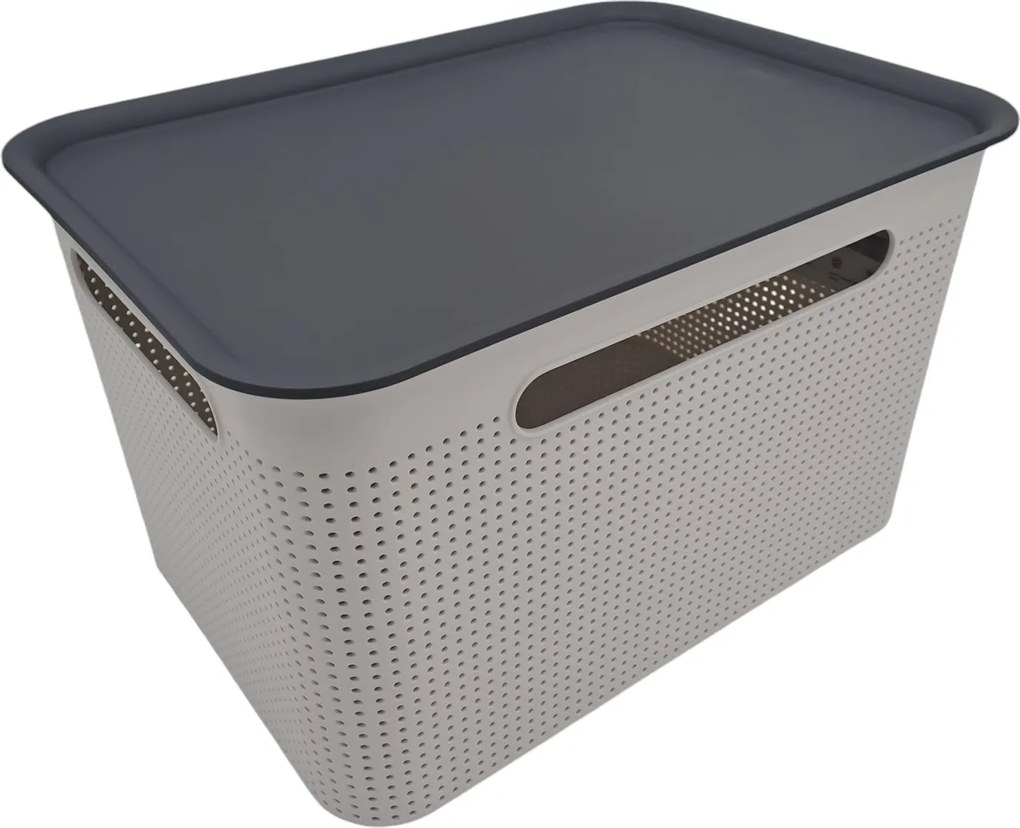 Rotho Úložný box s víkem a s madly BRISEN 16l, 36x26,2x21cm, bílý