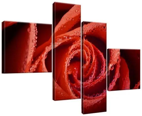 Tištěný obraz Silná červená růže 100x70cm 1747A_4B