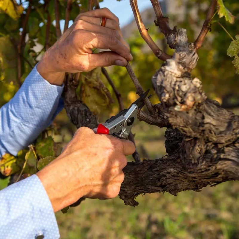 Ergonomické nůžky FELCO 6 FELCO6
