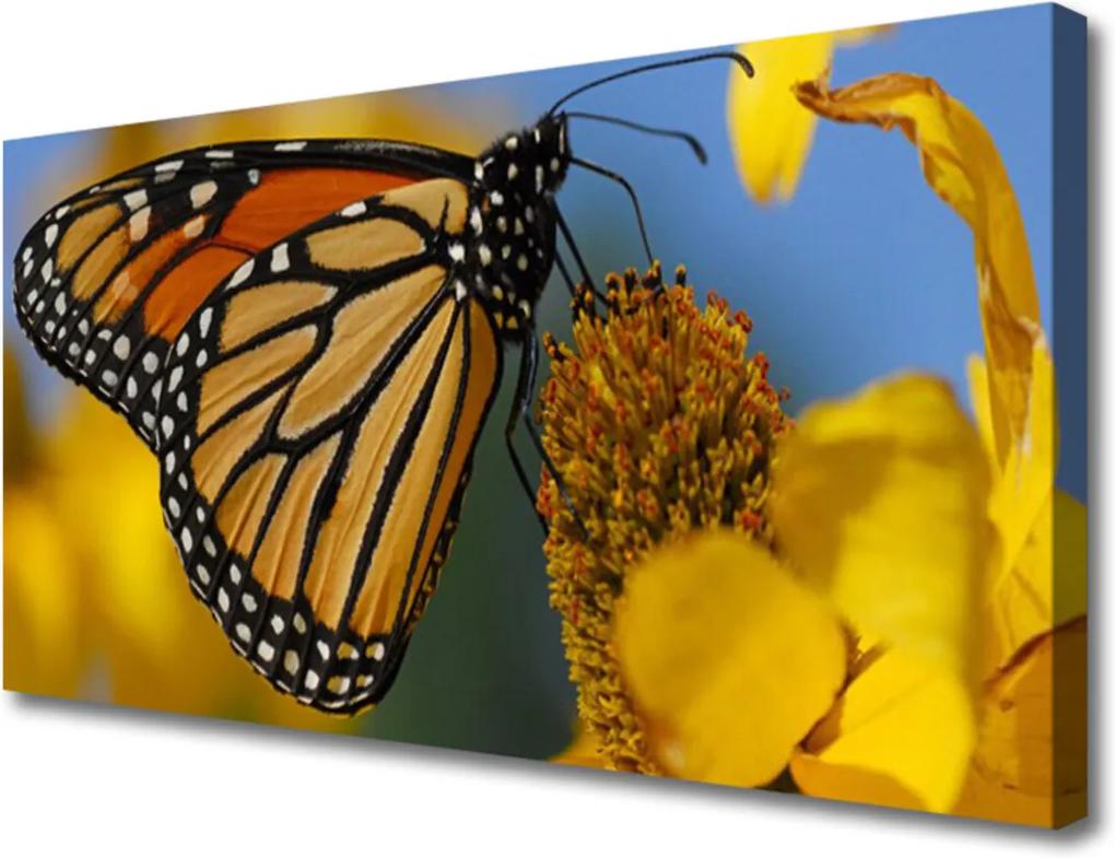Obraz Canvas Motýl Květ Příroda