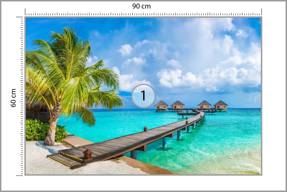 Fototapeta Tropické Prázdninové Domy Na Maledivách Omyvatelný vlies 90x60