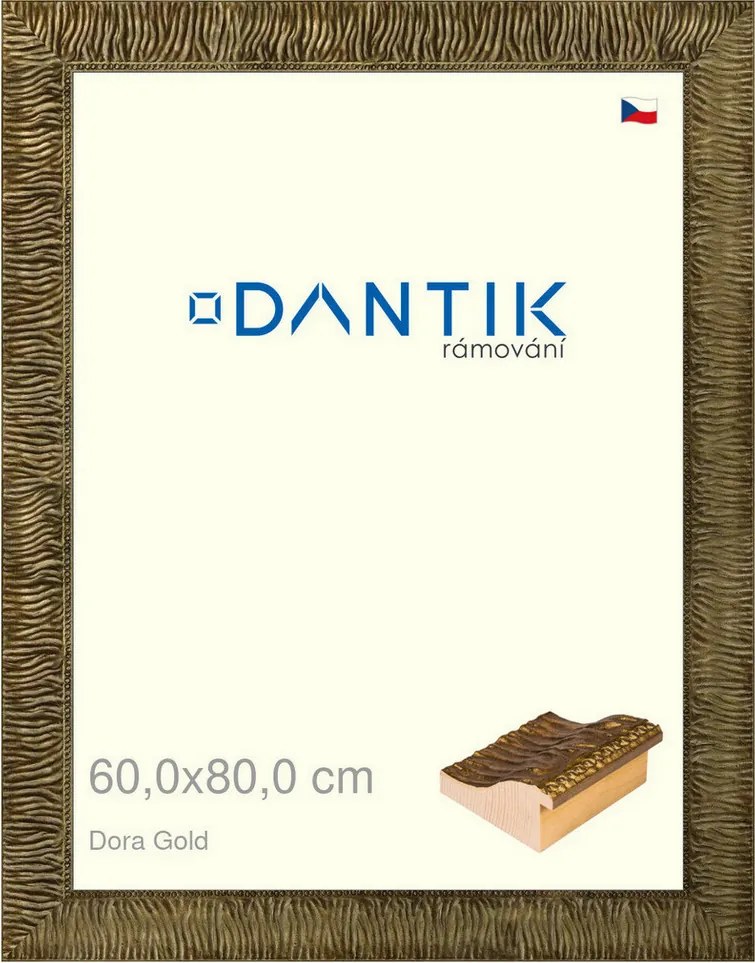 DANTIK rámeček 60x80 | Dora Gold (Plexi Čiré)