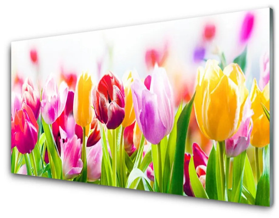 akrylový obraz Tulipány Květiny 120x60 cm