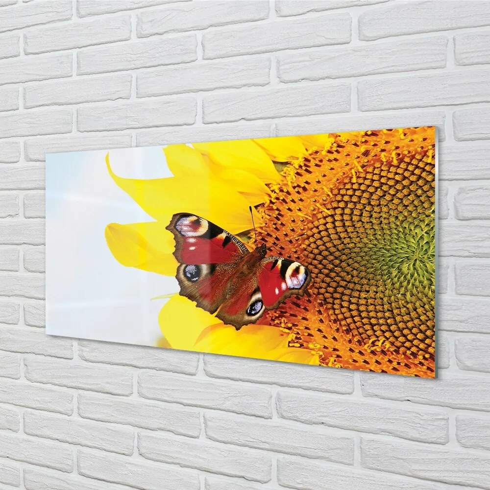 Obraz na skle slunečnice motýl 125x50 cm