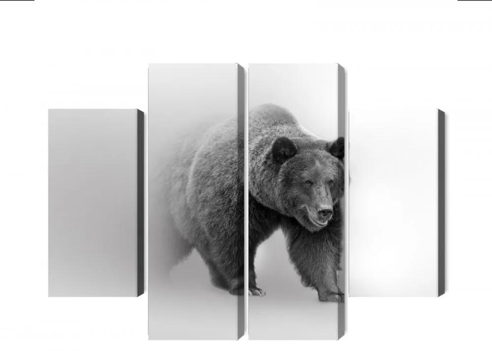 Vícedílný obraz Medvěd V Mlze 3D Nedostatek Nedostatek Přírodní plátno 160x120