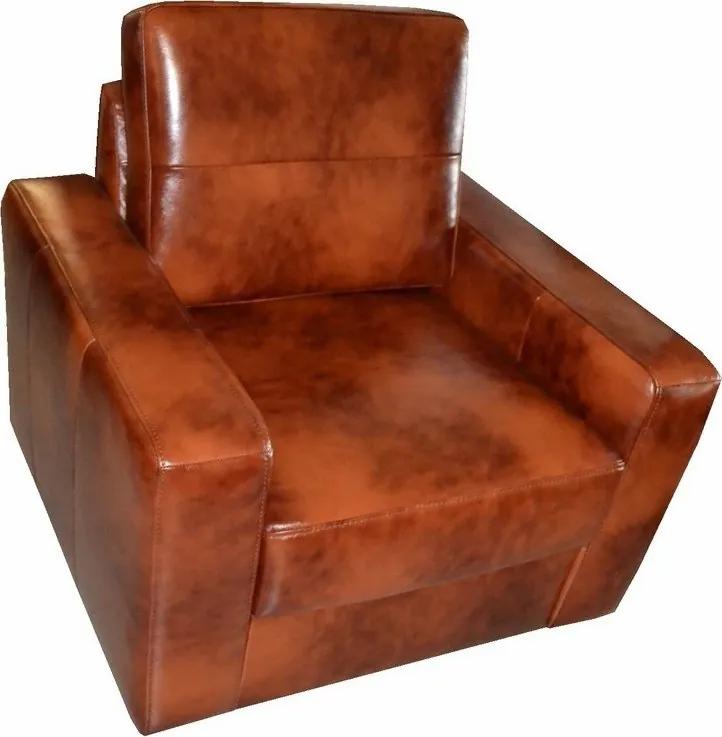 Casarredo - Komfort nábytek Křeslo EDGAR kůže | potah: Kůže S-63
