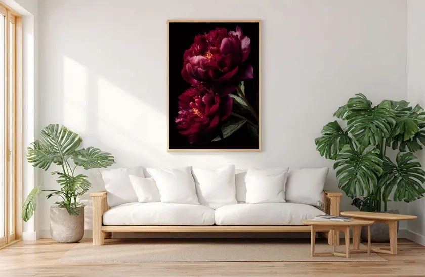 Sametová krása - obraz - Pivoňky v temně elegantním stylu 44 - 70 x 100 cm - 1 150 Kč