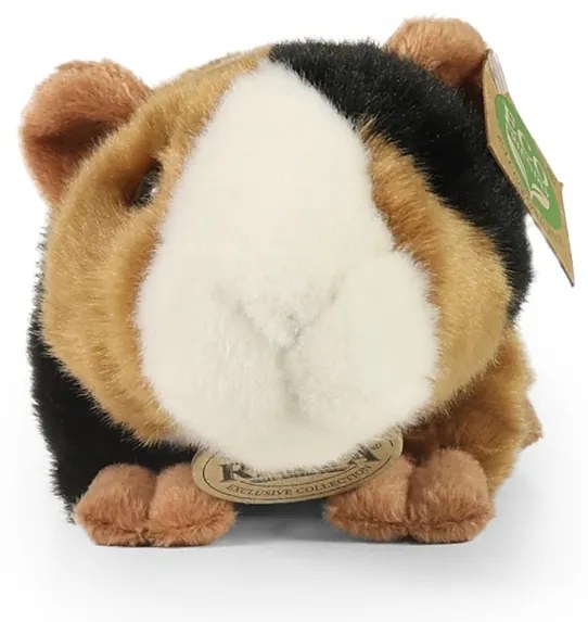 Rappa Plyšové morče 22 cm ECO-FRIENDLY