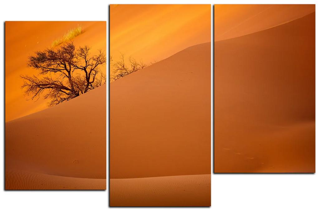 Obraz na plátně - Červené písečné duny 1133D (150x100 cm)