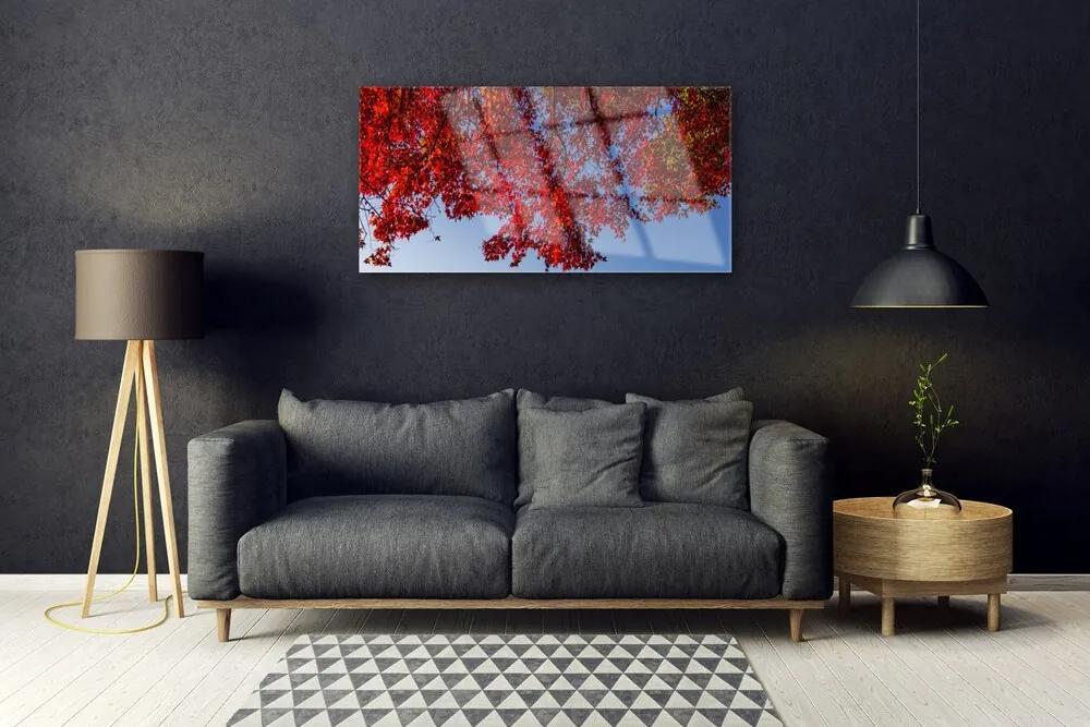 Obraz na skle Strom Listy Větve Příroda 100x50 cm