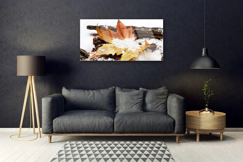Plexisklo-obraz List Les Podzim Příroda 100x50 cm