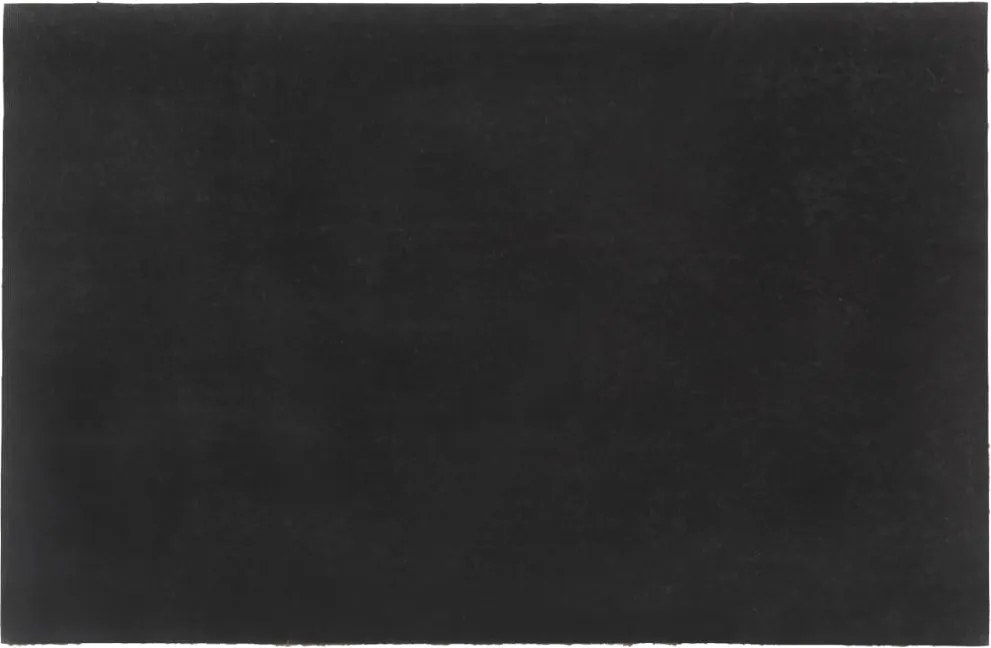 Rohožka před dveře přírodní 65 x 100 cm kokosové vlákno 155604