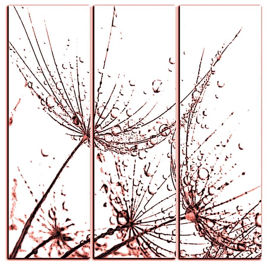 Obraz na plátně - Pampelišková semínka s kapkami vody - čtverec 3202KB (75x75 cm)