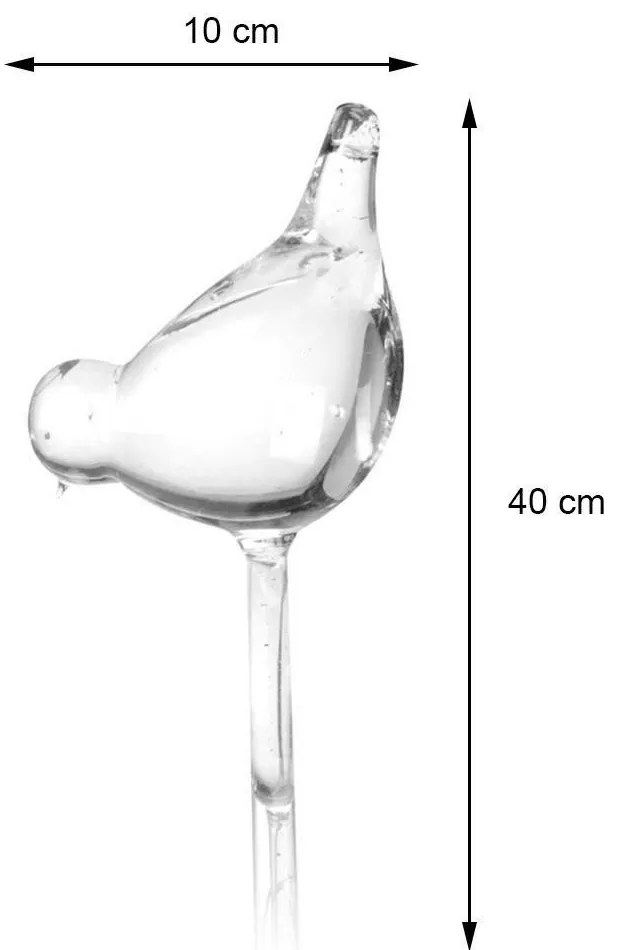 Zavlažovací koule Birds, 40x10 cm, sada 2ks, transparentní