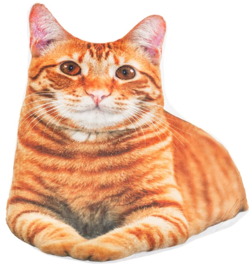 TOP Tvarovaný polštářek ANIMALS Fat cat